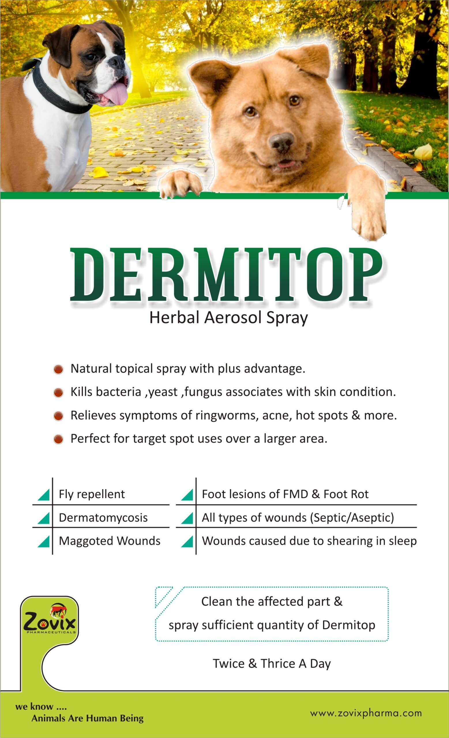 Dermitop | Herbal Aerosol Spray