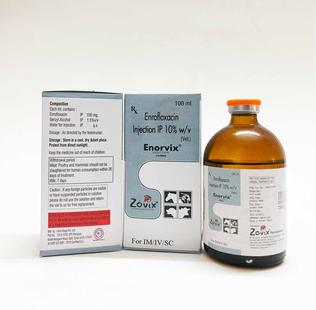 Enorvix | Enrofloxacin 10% Injection