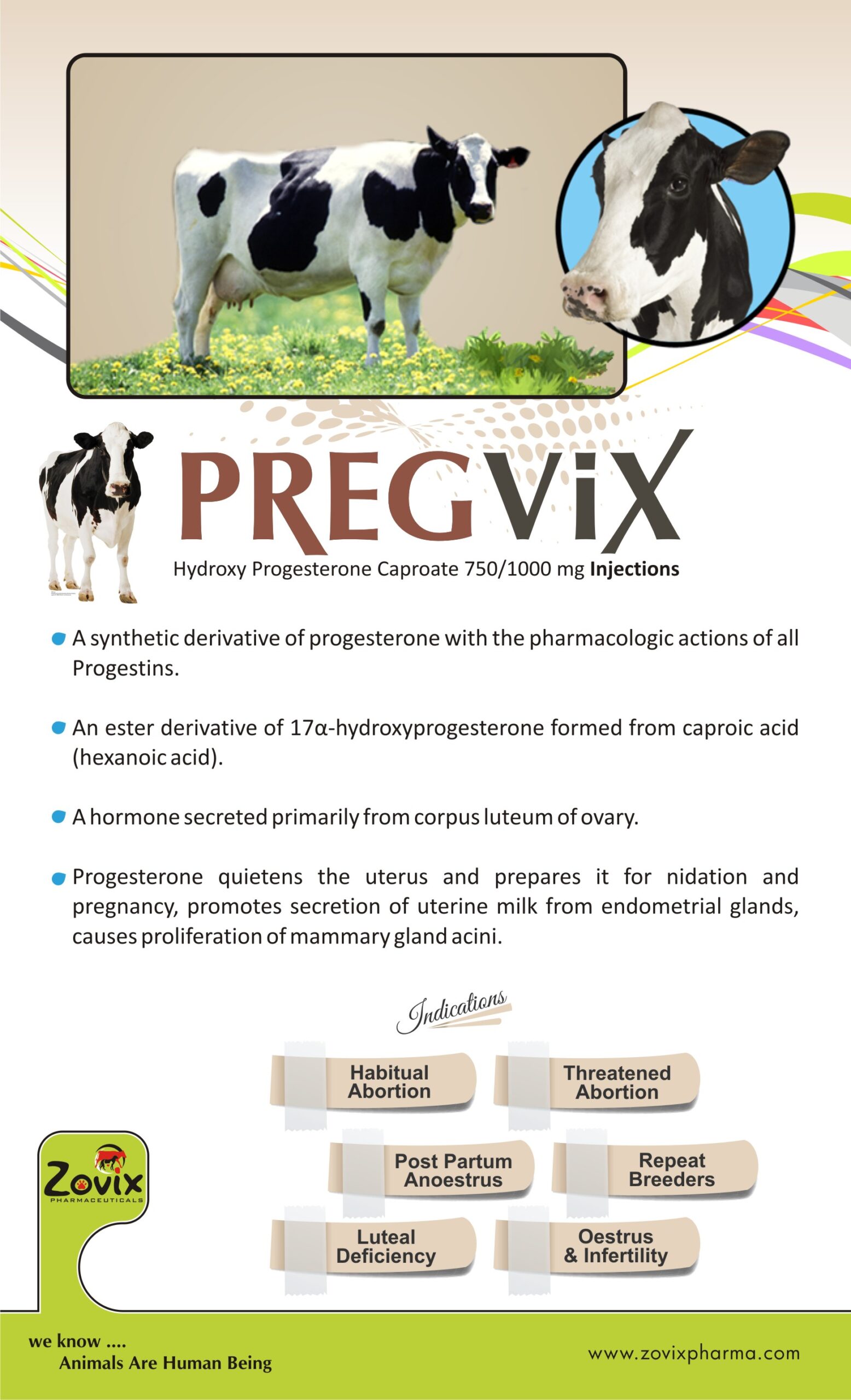 Pregvix | Hydroxy Progesterone Caproate Injection