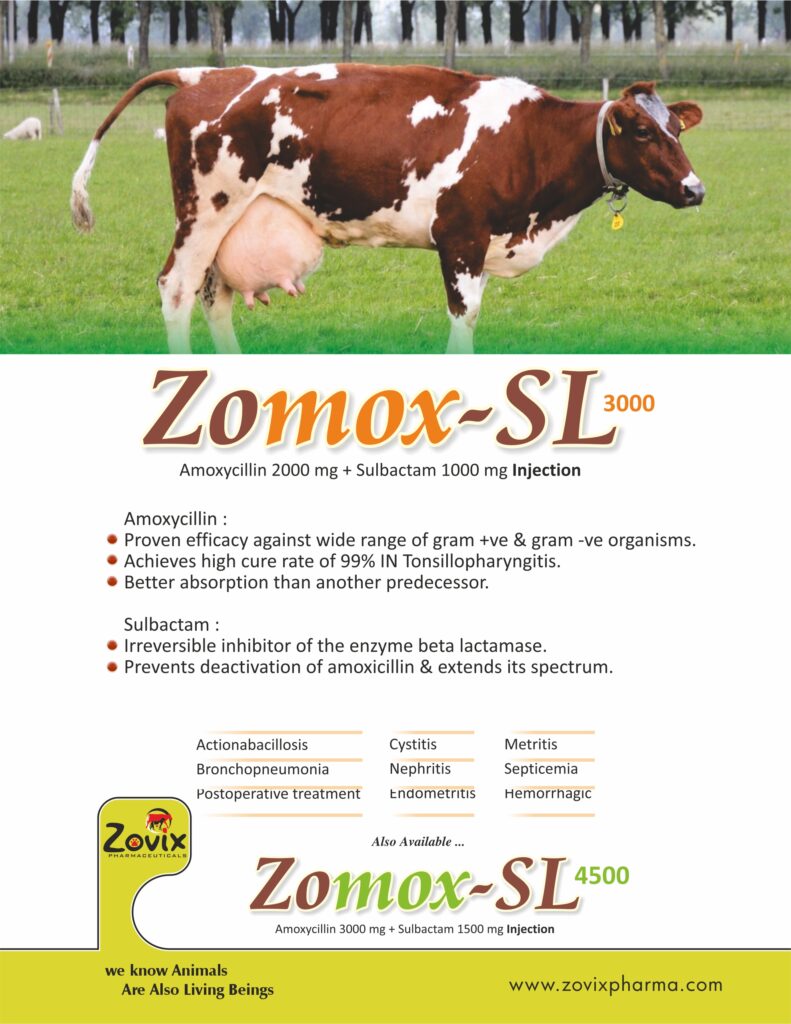 Zomox-SL | Amoxycillin + Sulbactam Injection