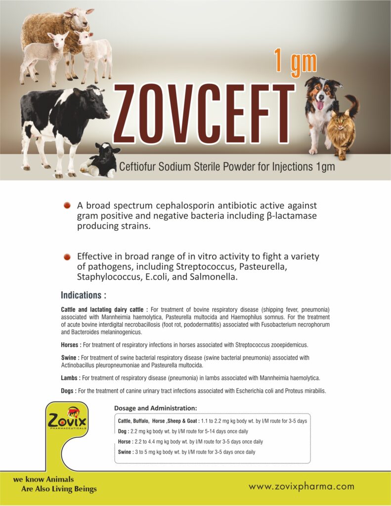 Zovceft | Ceftiofur sodium sterile Injection